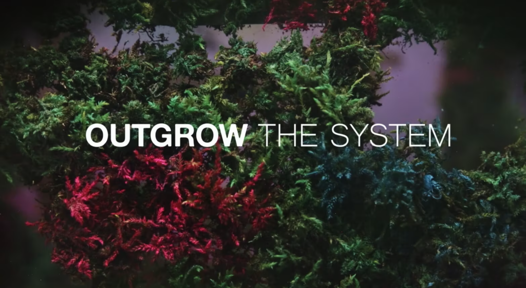 Outgrow the System: Über Kapitalismuskritik, Postwachstum und Utopien ...